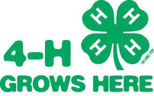 Head, Heart, Hands, Health: How 4-H Enhances My Life Rural Mom